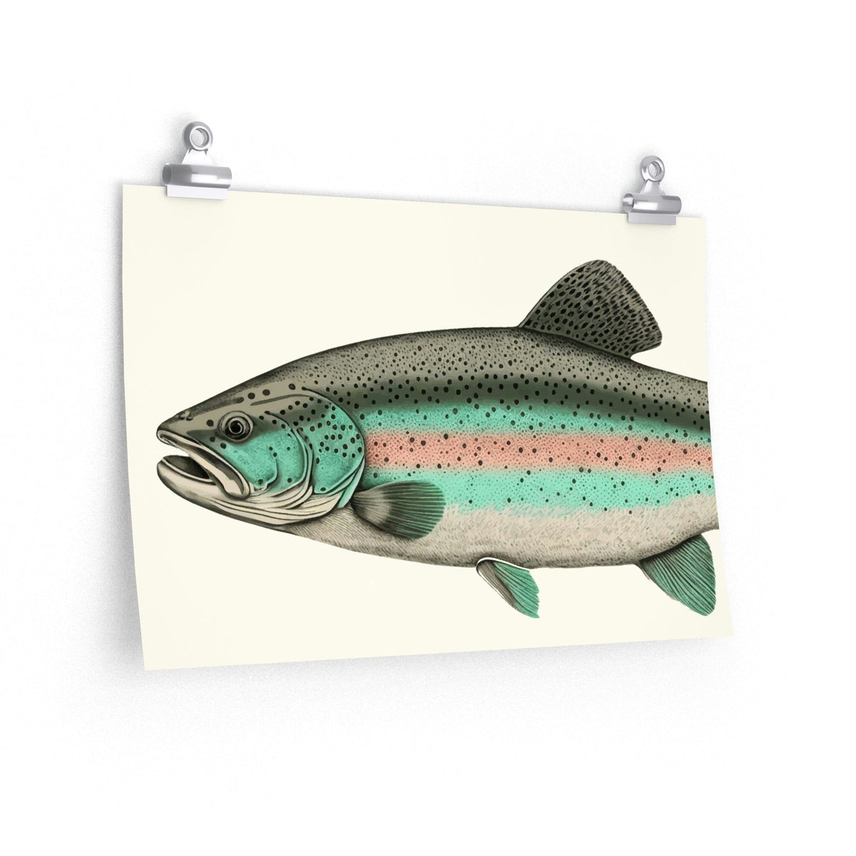 Vintage Style Rainbow Trout - Art Print – Foundry Fishing